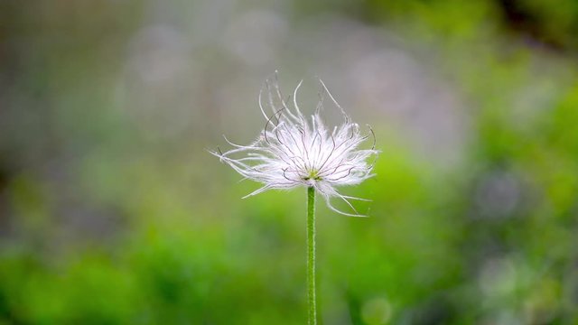 Summere 影像 – 瀏覽 94 個素材庫相片、向量圖和影片 | Adobe Stock
