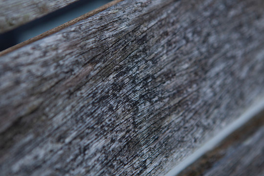 Imágenes de Cuarteado: descubre bancos de fotos, ilustraciones ...