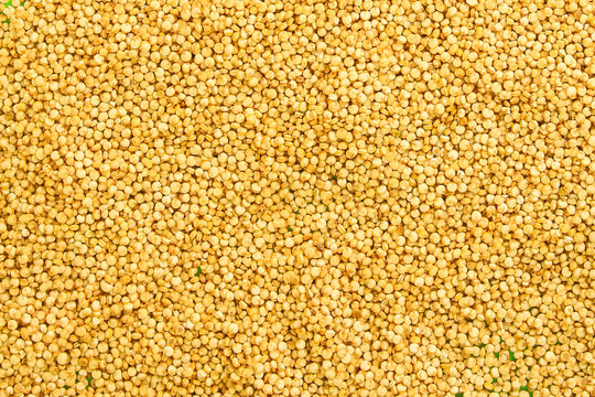 Millets Banner Images – Browse 637 Stock Photos, Vectors, and Video ...