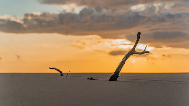 รูปภาพTorridity – เลือกดูภาพถ่ายสต็อก เวกเตอร์ และวิดีโอ198 | Adobe Stock