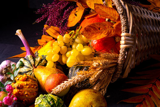 Cornocopia Bilder – Durchsuchen 110 Archivfotos, Vektorgrafiken und ...