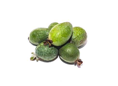 Feyxoa bilder – Bläddra bland 73 stockfoton, vektorer och videor ...