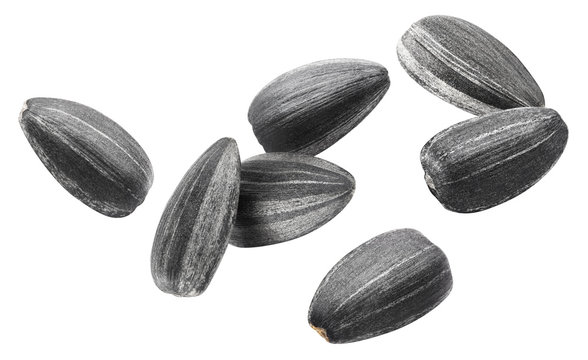 รูปภาพSemki – เลือกดูภาพถ่ายสต็อก เวกเตอร์ และวิดีโอ106 | Adobe Stock