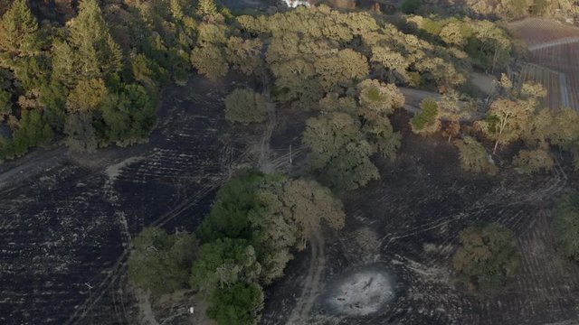 รูปภาพGhetty – เลือกดูภาพถ่ายสต็อก เวกเตอร์ และวิดีโอ3 | Adobe Stock