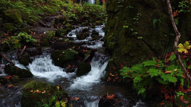 Kumoi Images – Browse 148 Stock Photos, Vectors, and Video | Adobe Stock