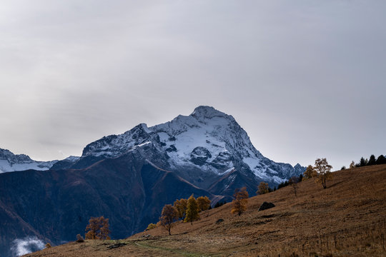 Autonme Images – Browse 59 Stock Photos, Vectors, and Video | Adobe Stock