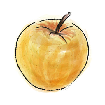 Picciolo Images – Browse 914 Stock Photos, Vectors, and Video | Adobe Stock