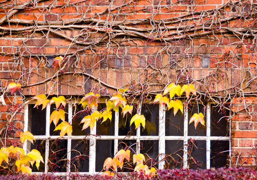 "Cover Over" Imagens – Procure 60 fotos, vetores e vídeos | Adobe Stock