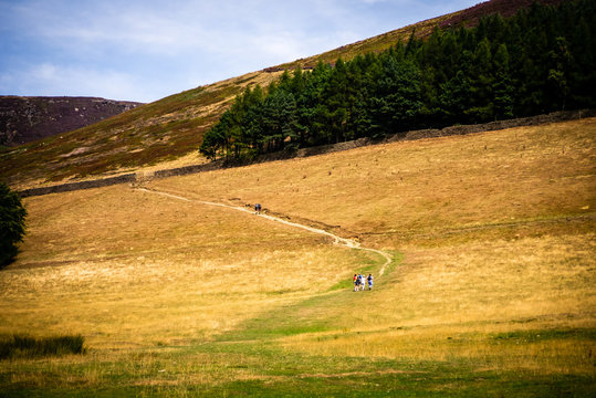 Footh Bilder – Durchsuchen 62 Archivfotos, Vektorgrafiken und Videos ...