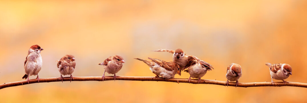 Restlessly Bilder – Durchsuchen 1,539 Archivfotos, Vektorgrafiken und ...