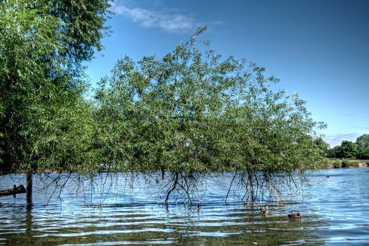 Imene Immagini - Sfoglia 790 foto, vettoriali e video Stock | Adobe Stock