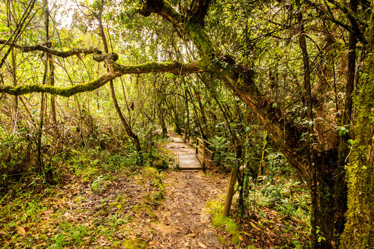 Arvi Images – Browse 881 Stock Photos, Vectors, and Video | Adobe Stock