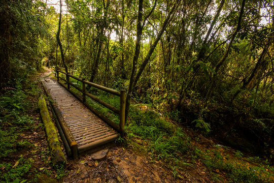 Arvi Images – Browse 881 Stock Photos, Vectors, and Video | Adobe Stock