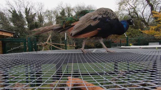 Zooo Images – Browse 45 Stock Photos, Vectors, and Video | Adobe Stock