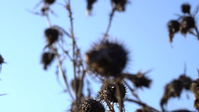 Secchi Video Footage – Browse 162 HD Stock Video and Footage | Adobe Stock