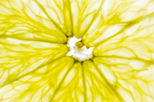 Markro Bilder – Durchsuchen 248 Archivfotos, Vektorgrafiken und Videos ...