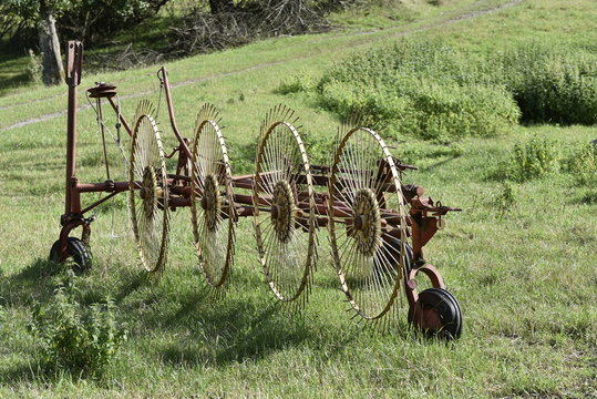 「Heuwender」の写真素材 | 398件の無料イラスト画像 | Adobe Stock