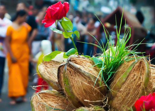 Durva Images – Browse 2,005 Stock Photos, Vectors, and Video | Adobe Stock