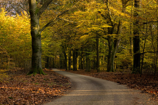 Senic Images – Parcourir 1,102 le catalogue de photos, vecteurs et ...