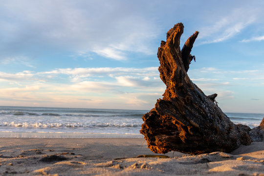 "Impressive Nature" Images – Browse 817 Stock Photos, Vectors, and ...