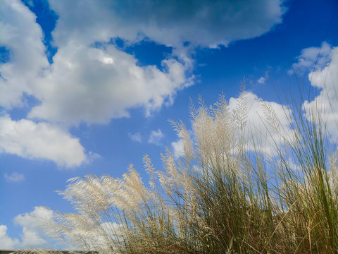 Kashful Images – Browse 279 Stock Photos, Vectors, and Video | Adobe Stock