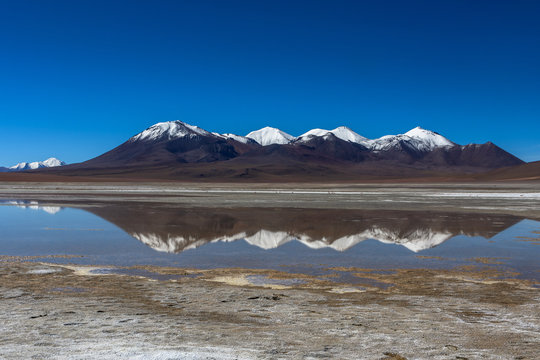 Nierve Images – Browse 42 Stock Photos, Vectors, and Video | Adobe Stock