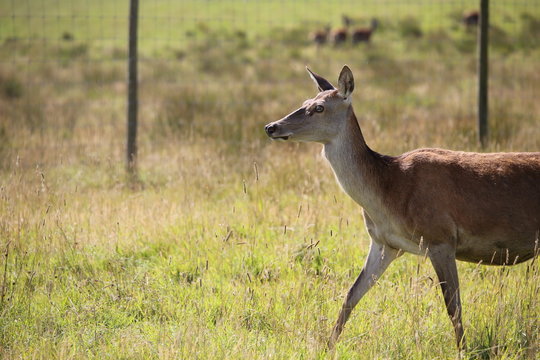 "Not Edited" Images – Browse 116 Stock Photos, Vectors, and Video ...