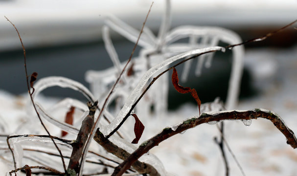 Verglacé - Images et vidéos libres de droits | Adobe Stock