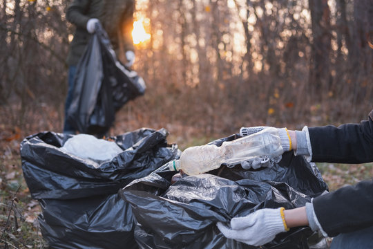 "Forest Cleaning" Images – Browse 156 Stock Photos, Vectors, and Video ...