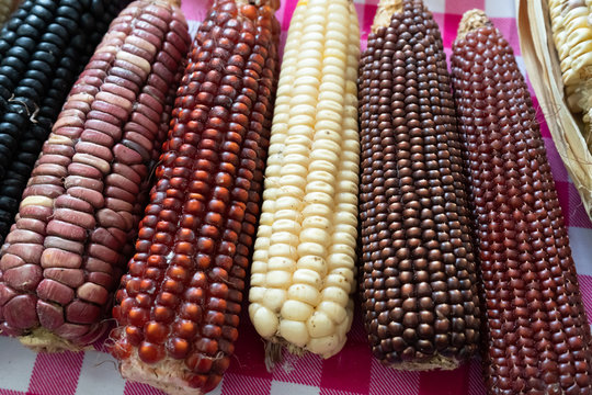 รูปภาพDorar – เลือกดูภาพถ่ายสต็อก เวกเตอร์ และวิดีโอ99 | Adobe Stock