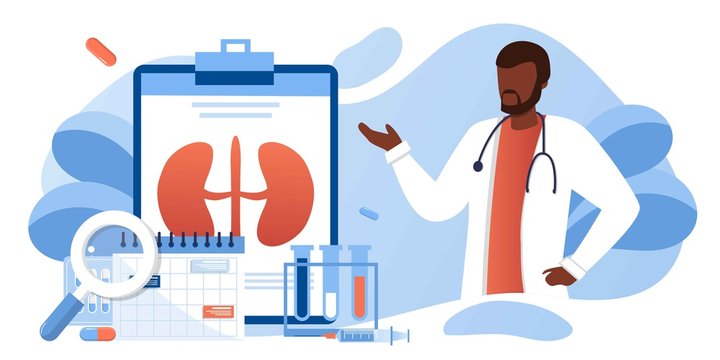 Nephroptosis Bilder – Durchsuchen 121 Archivfotos, Vektorgrafiken und ...