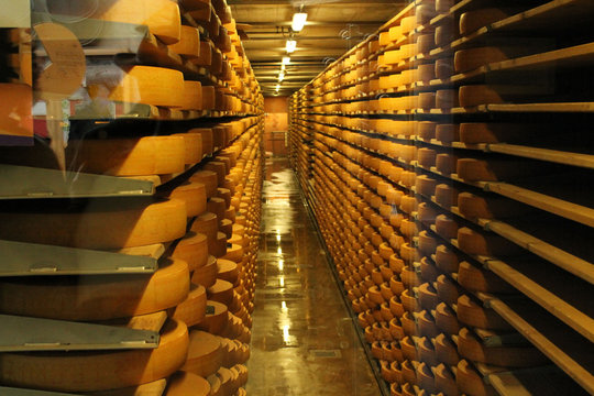 "Hard Cheese" Billeder – Gennemse 15,094 stockfotos, vektorer og ...
