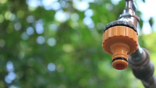 Ventury Images – Browse 46 Stock Photos, Vectors, and Video | Adobe Stock