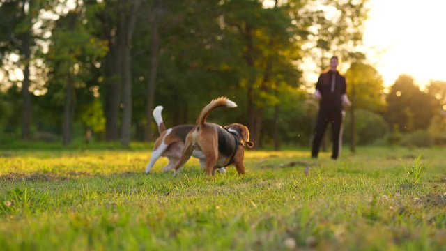 รูปภาพFetch – เลือกดูภาพถ่ายสต็อก เวกเตอร์ และวิดีโอ1,550,839 | Adobe Stock