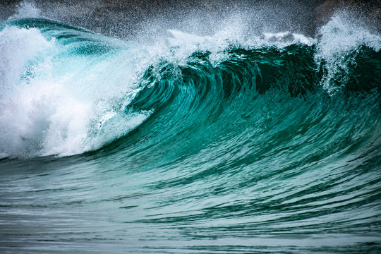 「Hincharse」の写真素材 | 25件の無料イラスト画像 | Adobe Stock