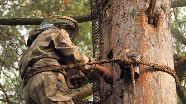 Tree-Climbing Images – Browse 114 Stock Photos, Vectors, and Video ...