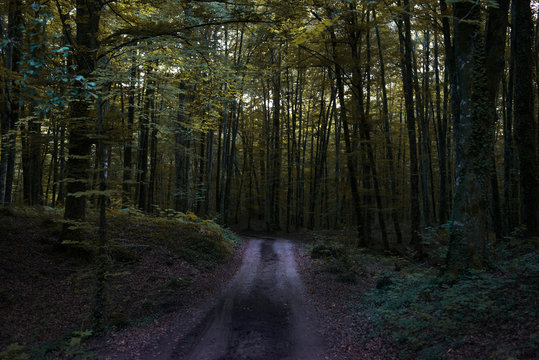 1,216 件の最適な Hayas 画像、ストック写真、ベクター | Adobe Stock