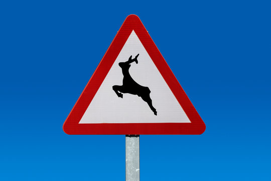 รูปภาพTrafficsign – เลือกดูภาพถ่ายสต็อก เวกเตอร์ และวิดีโอ1,308 | Adobe ...