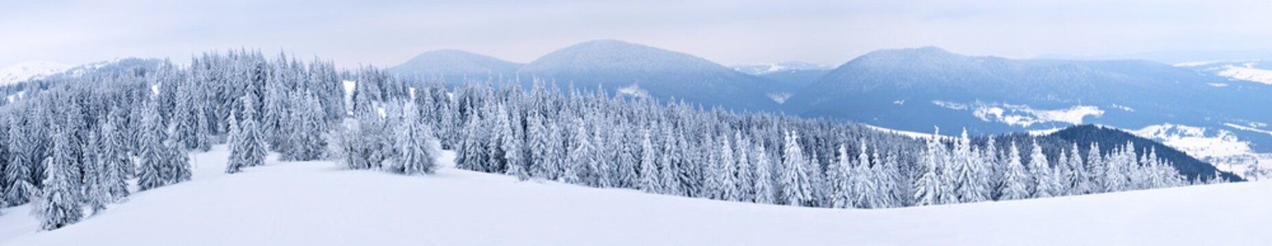 Free Snow Images – Browse 18,040 Free Stock Photos, Vectors, and Video ...