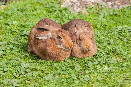 Haase Images – Browse 90 Stock Photos, Vectors, and Video | Adobe Stock