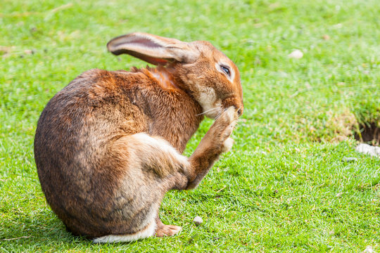 Haase Images – Browse 80 Stock Photos, Vectors, and Video | Adobe Stock