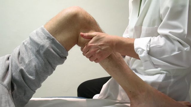 Polpaccio Images – Browse 230 Stock Photos, Vectors, and Video | Adobe ...