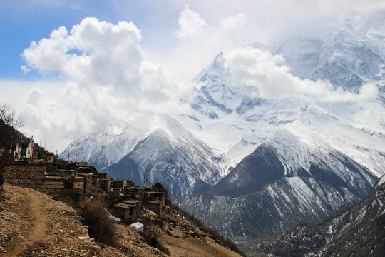 "Torong Imagens – Procure 102 fotos, vetores e vídeos | Adobe Stock