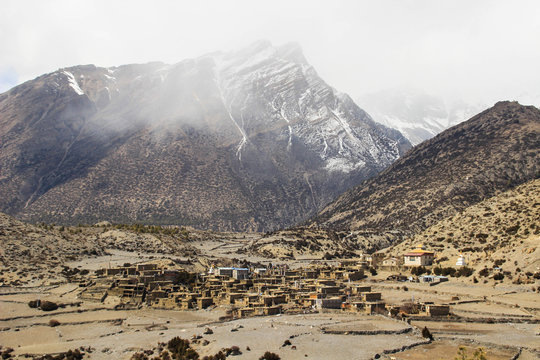 "Torong Imagens – Procure 102 fotos, vetores e vídeos | Adobe Stock