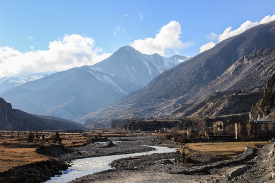 "Torong Imagens – Procure 107 fotos, vetores e vídeos | Adobe Stock