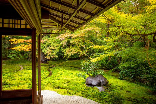 「Rurikoin」の写真素材 | 347件の無料イラスト画像 | Adobe Stock