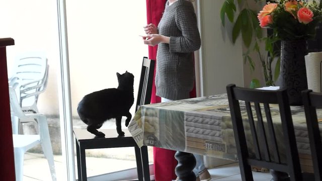 Faim Images – Browse 5,358 Stock Photos, Vectors, and Video | Adobe Stock