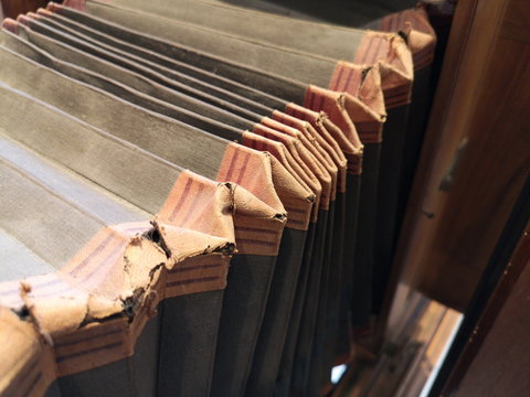 รูปภาพBalgen – เลือกดูภาพถ่ายสต็อก เวกเตอร์ และวิดีโอ410 | Adobe Stock