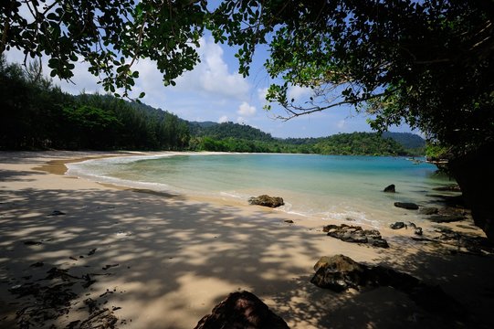 Talu Images – Browse 21,550 Stock Photos, Vectors, and Video | Adobe Stock