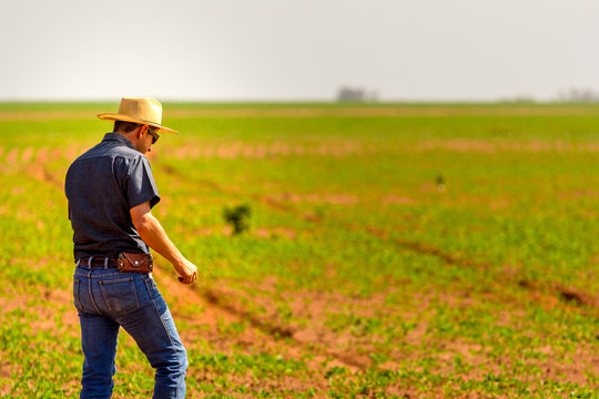 Monocropping Bilder – Durchsuchen 451 Archivfotos, Vektorgrafiken und ...